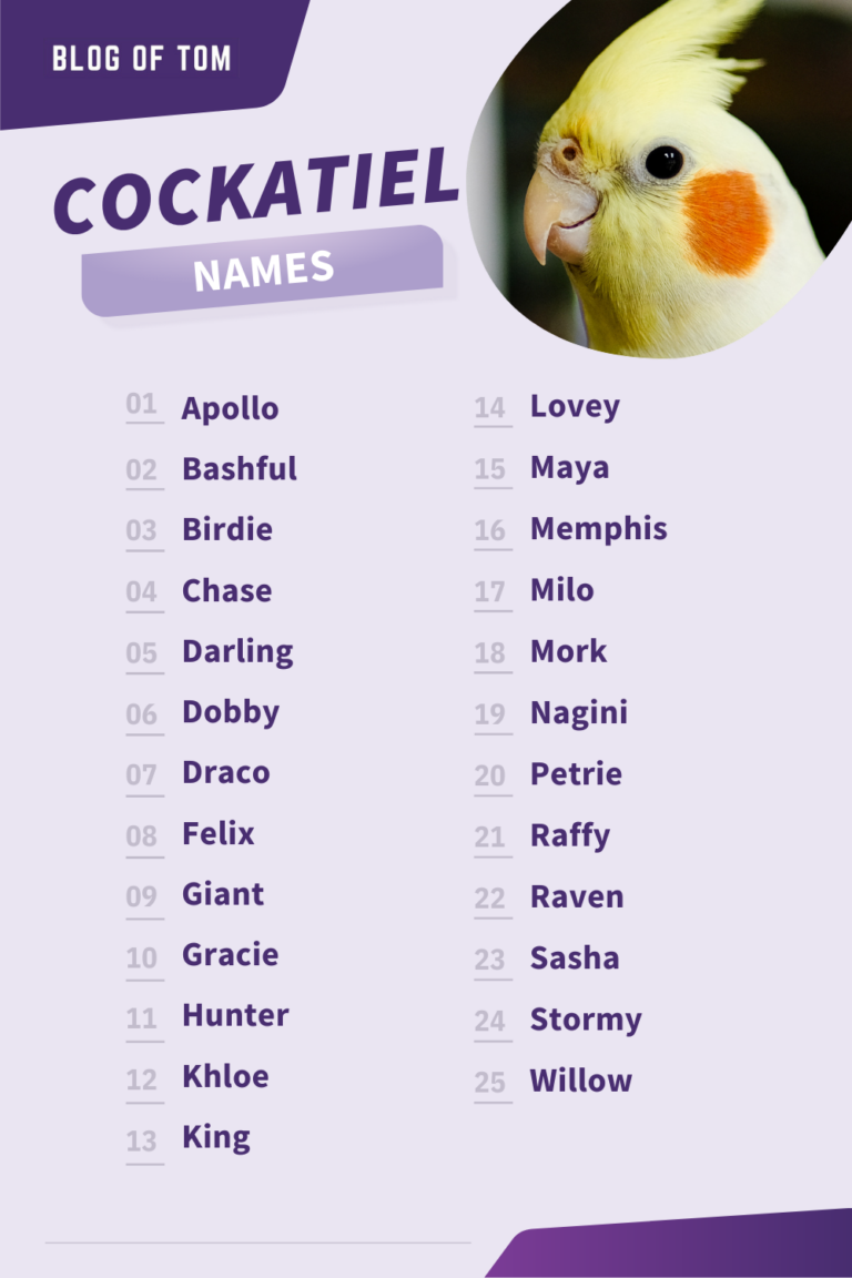 Bird Names for Both Genders