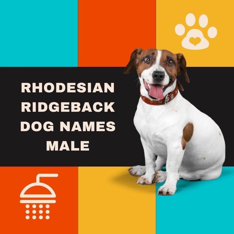 Rhodesian Ridgeback Dog Names Male