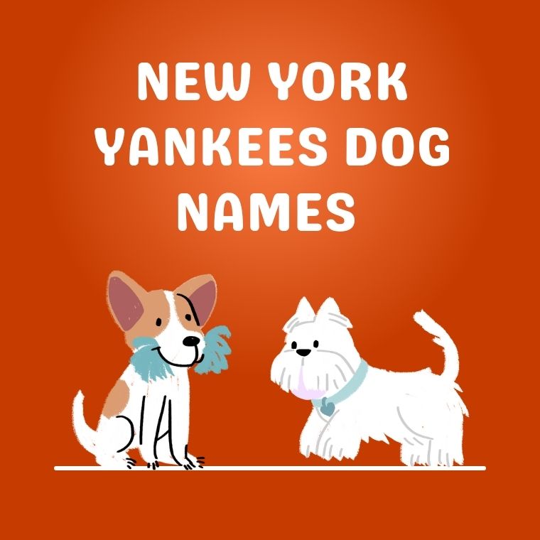New York Yankees Dog Names